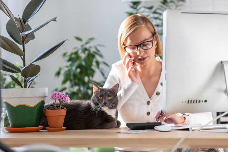How to Cancel a Check: Fees, Risks, and Steps